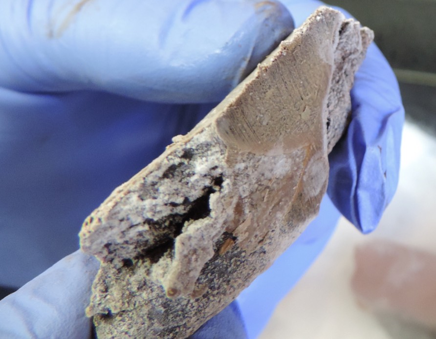 Knives made of frozen feces don’t make the cut, disproving well-known ...