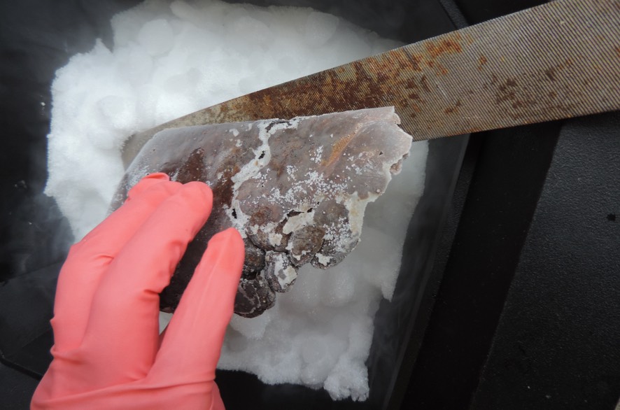 Knives made of frozen feces don’t make the cut, disproving well-known ...