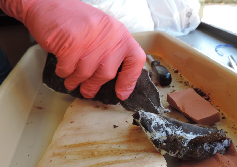 Knives made of frozen feces don’t make the cut, disproving well-known ...