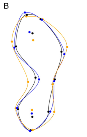 80,000-year-old footprints reveal Neanderthal social life - Ars Technica