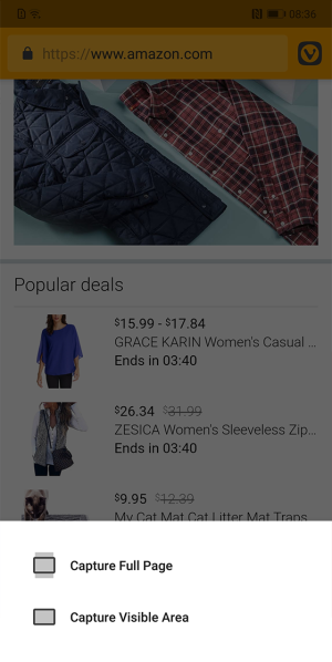 Most mobile browsers display the Web, that’s it—Vivaldi Mobile can ...