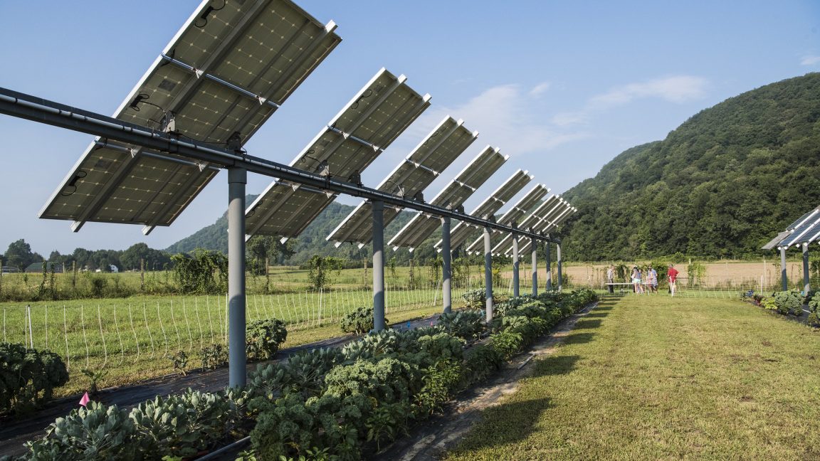 Crops under solar panels can be a win-win - Ars Technica