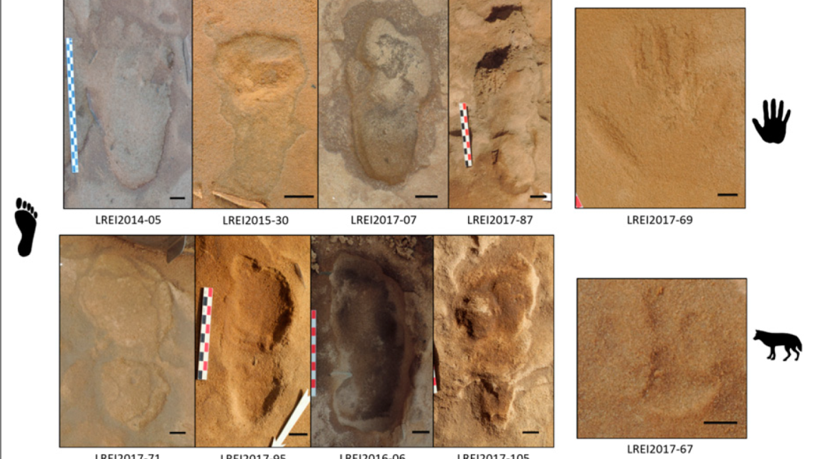 80,000-year-old footprints reveal Neanderthal social life - Ars Technica
