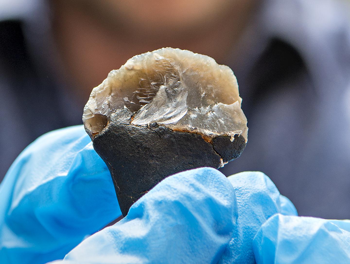 Neanderthal glue was a bigger deal than we thought - Ars Technica