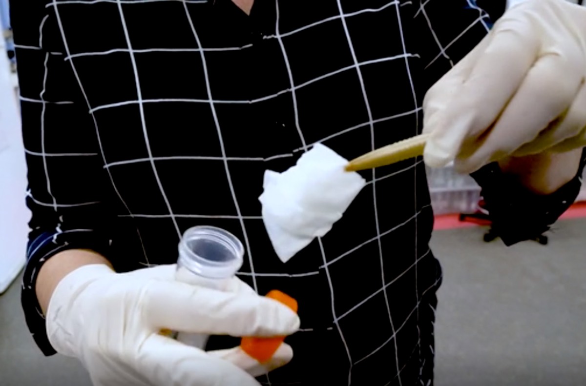 Home buyers, beware: Contamination from cooking meth can linger for ...