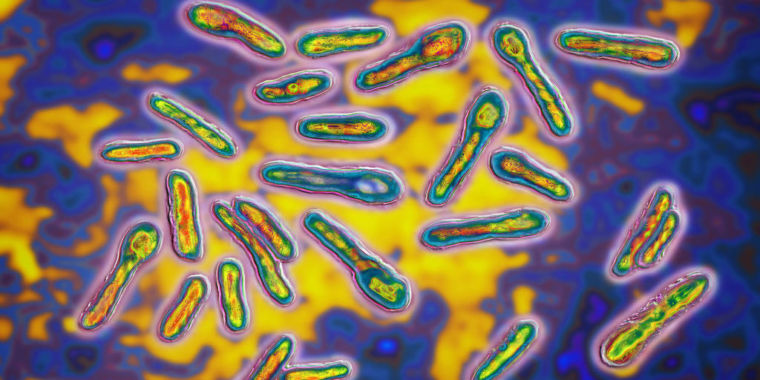 New antibiotic found in bacteria inside a worm inside an insect egg ...