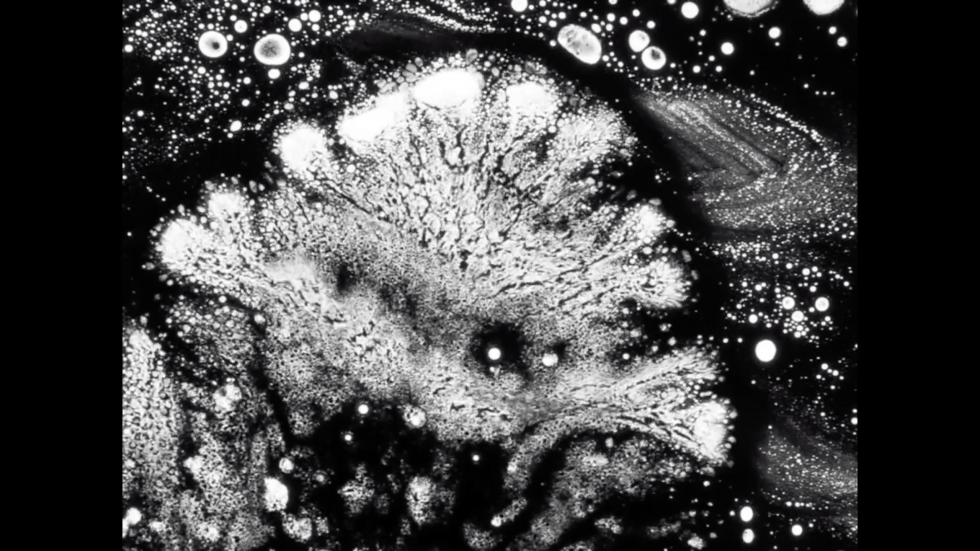 Night Has Come is remarkable work of genuine found-footage horror - Ars ...