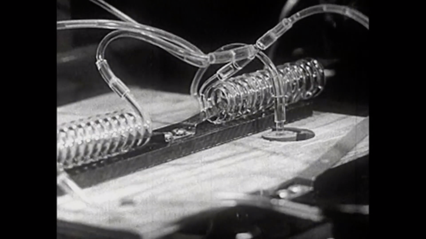 Night Has Come is remarkable work of genuine found-footage horror - Ars ...