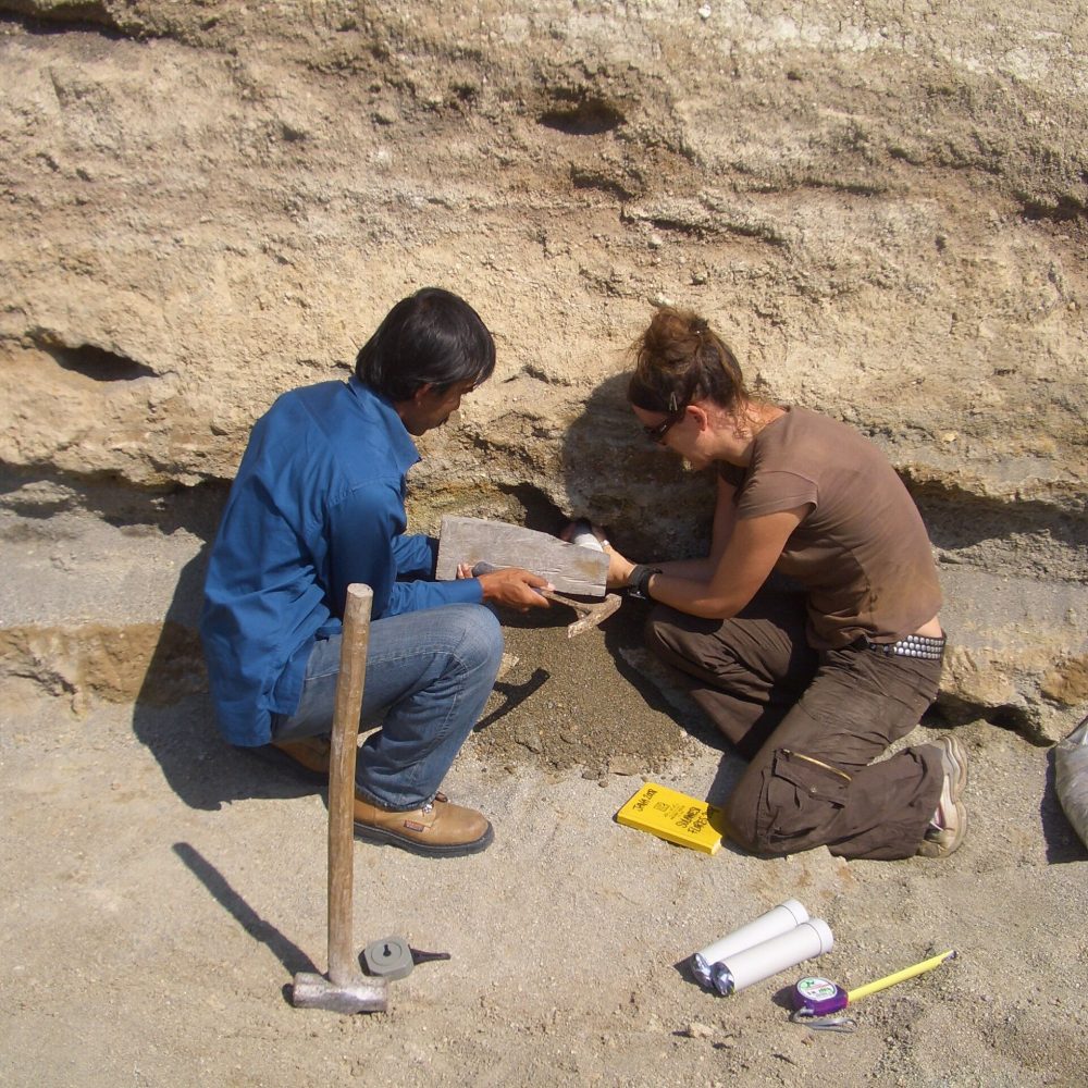 Tag: hominin evolution - Ars Technica