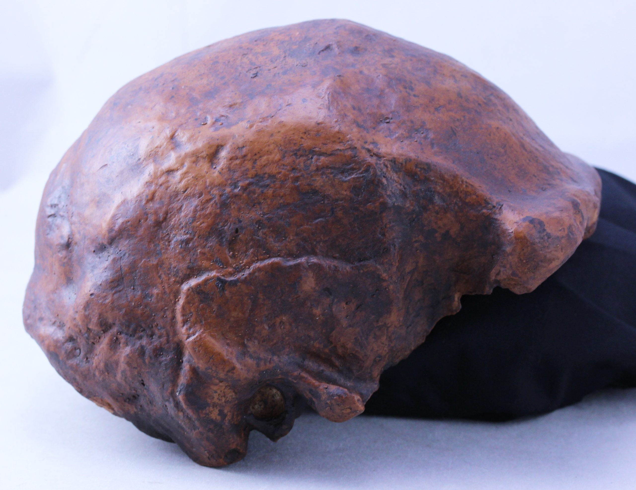 The last days of Homo erectus - Ars Technica