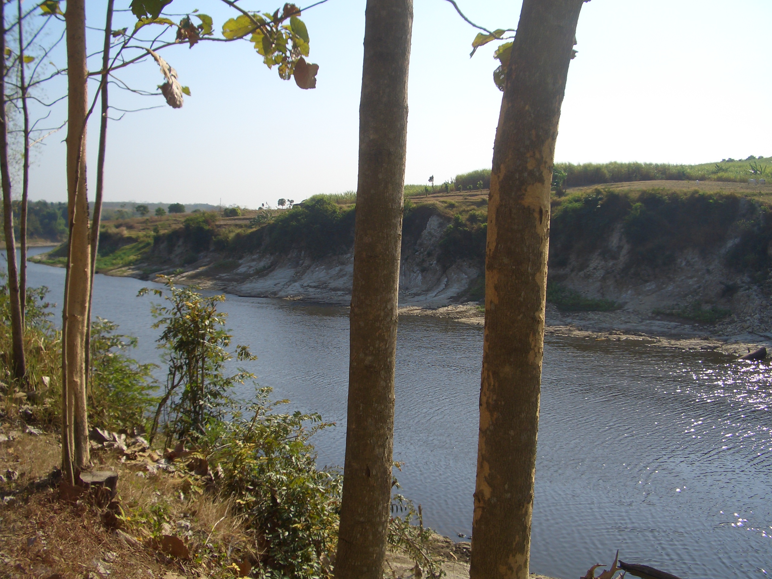 The last days of Homo erectus - Ars Technica