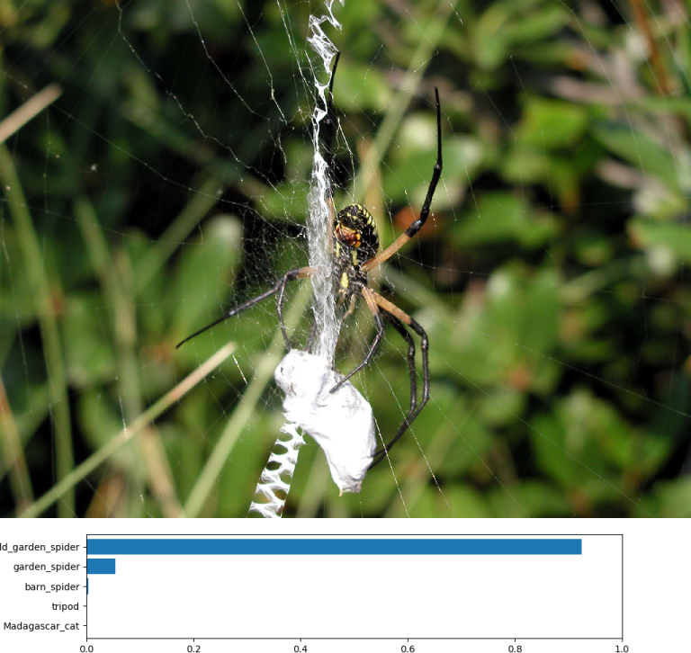 Cloudy with a chance of neurons: The tools that make neural networks ...