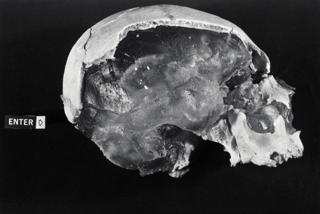 NIST digitized the bullets that killed JFK - Ars Technica