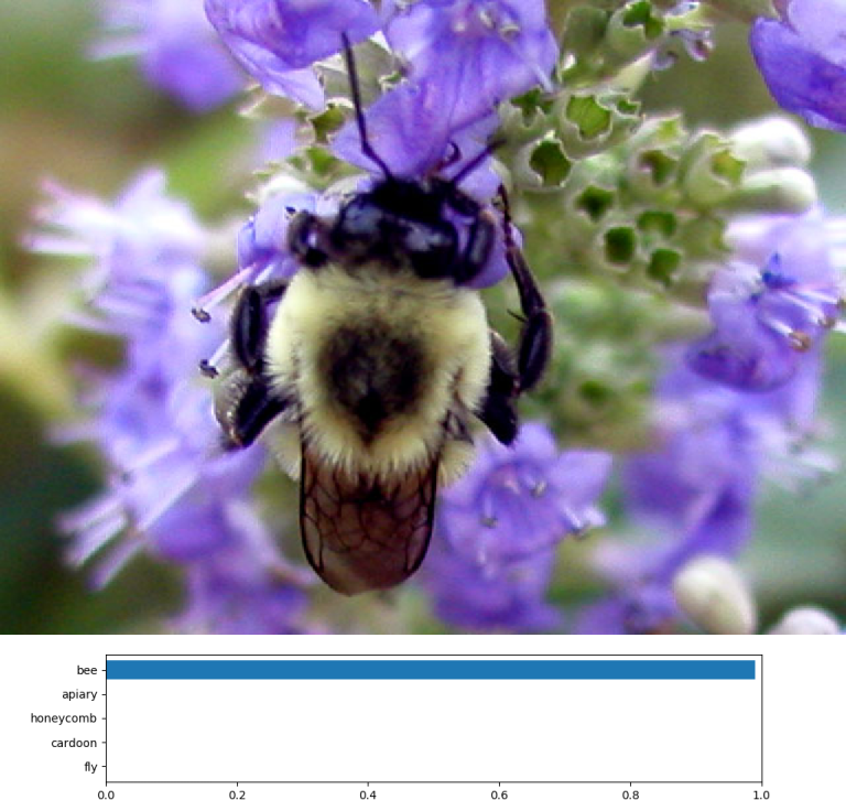 Cloudy with a chance of neurons: The tools that make neural networks ...