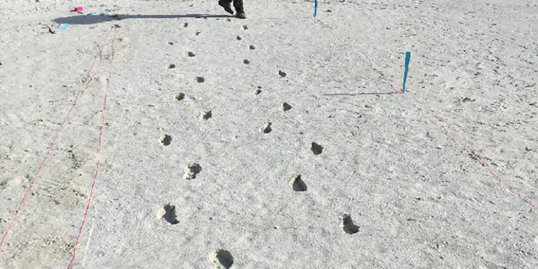 Radar reveals ghostly footprints at White Sands | Ars Technica