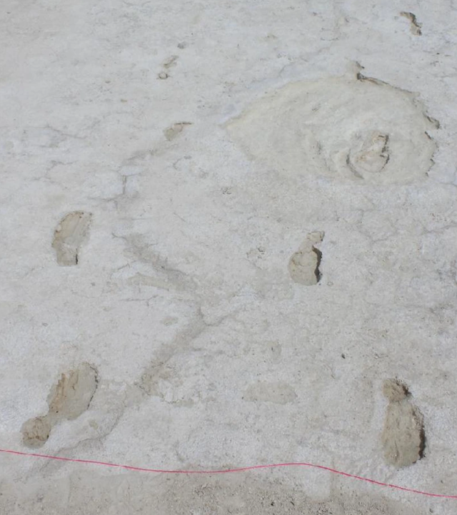 Radar reveals ghostly footprints at White Sands - Ars Technica