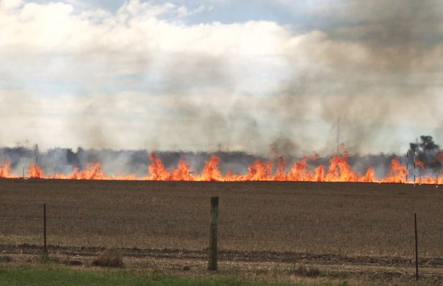 Scientists model dynamic feedback loop that fuels the spread of ...