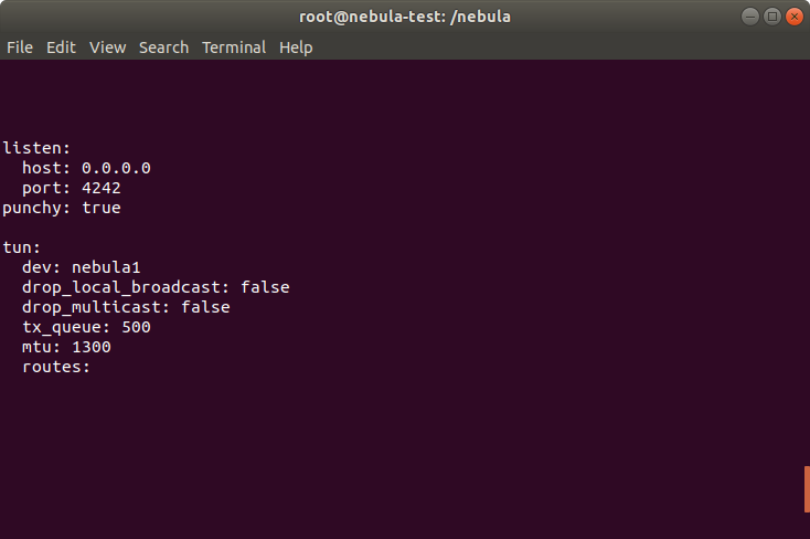 Nebula VPN routes between hosts privately, flexibly, and efficiently ...