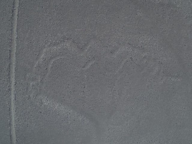 Archaeologists found 143 more images among the Nazca Lines - Ars Technica