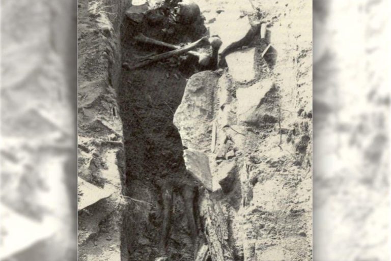 DNA analysis revealed the identity of 19th century “Connecticut vampire ...