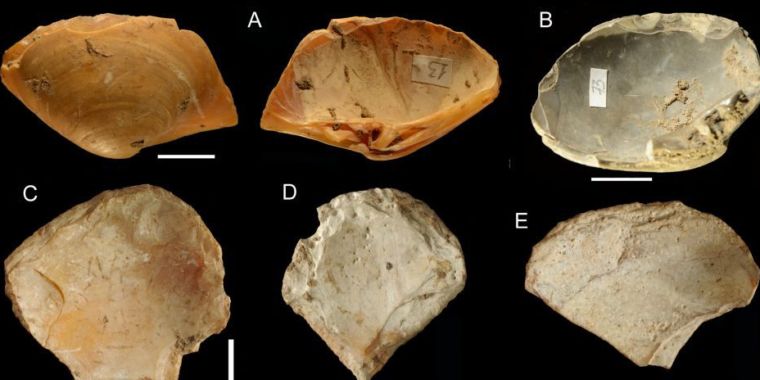 Neanderthals may have been shallow free divers, suggests a new study ...