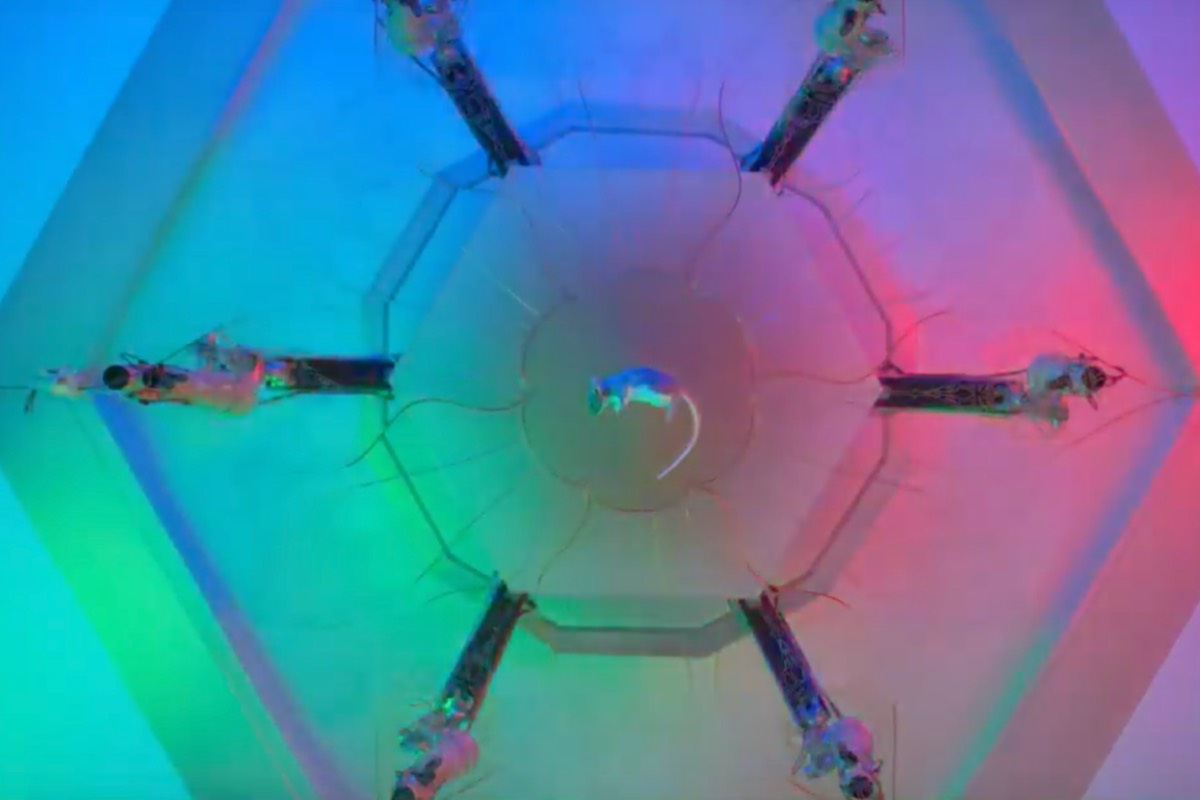 A young computer engineer tries to solve a mystery in first teaser for ...