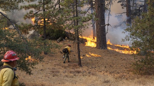 Why isn’t California using more prescribed burns to reduce fire risk ...