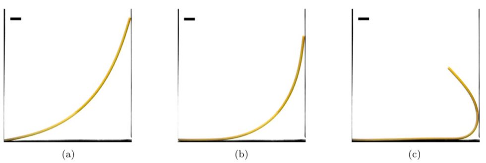 How to tell if your spaghetti is perfectly done using just a simple ...