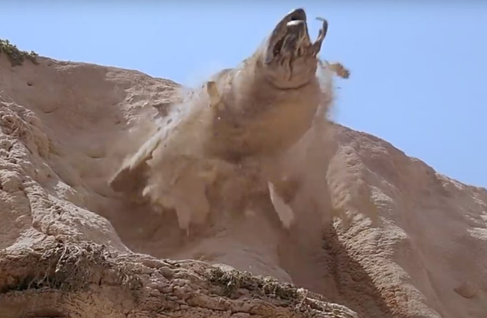 Tremors turns 30, the most perfect B movie creature feature ever made ...