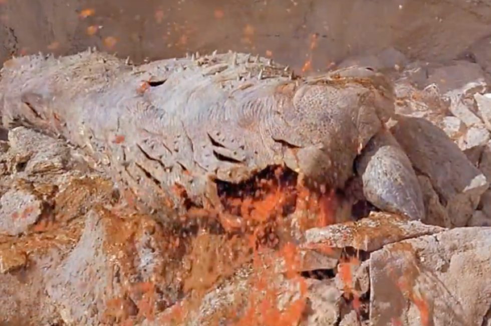 Tremors turns 30, the most perfect B movie creature feature ever made ...