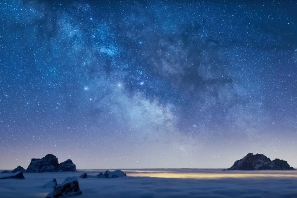 New Netflix series Night on Earth shows wildlife in a startling new ...