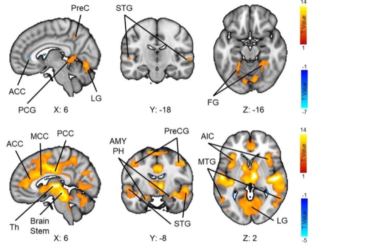 Fight or flight: How horror movies manipulate our brains for peak ...