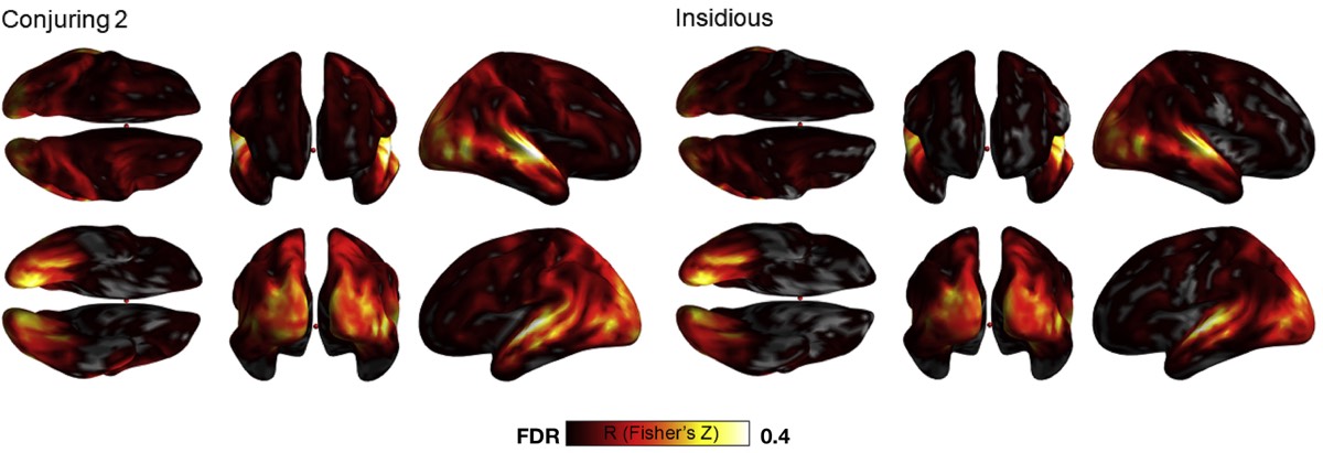 Fight or flight: How horror movies manipulate our brains for peak ...