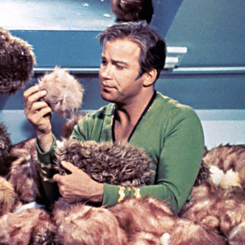 Tag: tribbles - Ars Technica