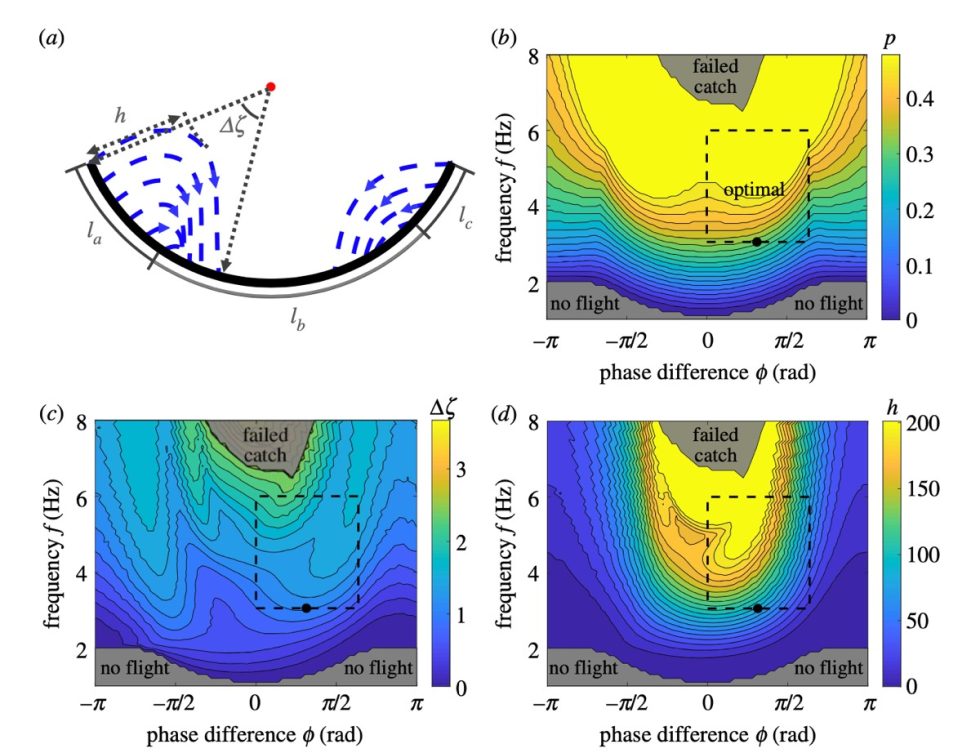 Georgia Tech physicists unlock the secret to perfect wok-tossed fried ...