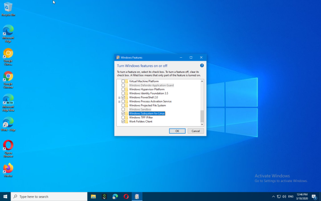 Activate the Windows Subsystem for Linux feature.
