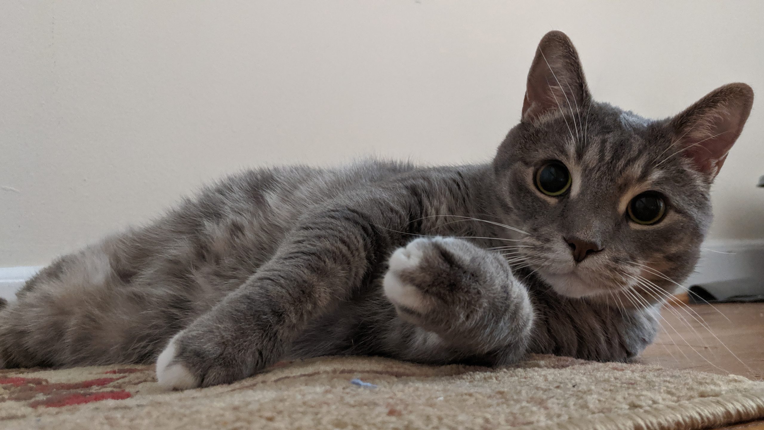 How to keep your sanity when you feel like the world is going crazy ...