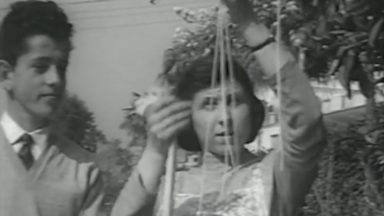 BBC’s 1957 April Fool’s “spaghetti-tree hoax” is more relevant than ...