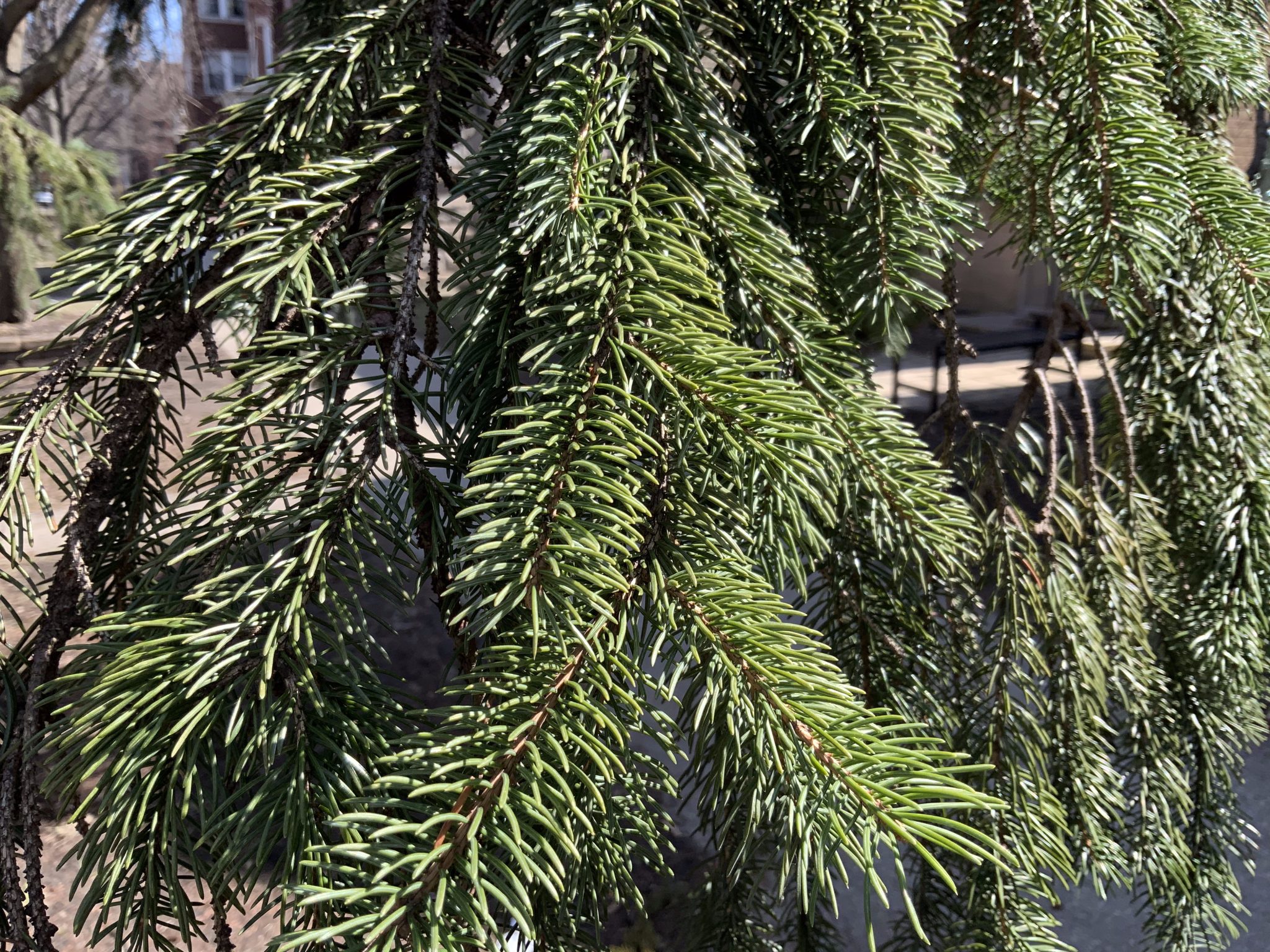 OK Computer: The iPad Pro 2020 review - Ars Technica