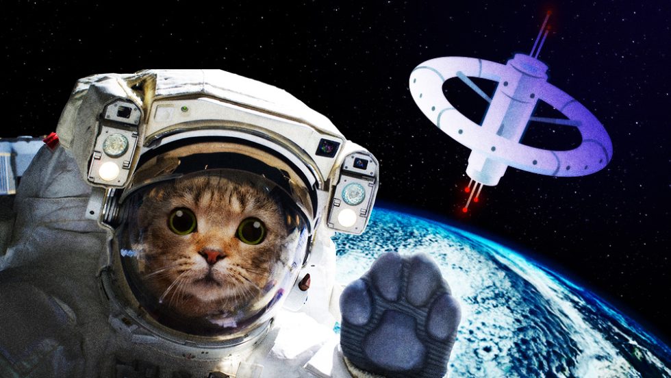 How to keep your sanity when you feel like the world is going crazy ...