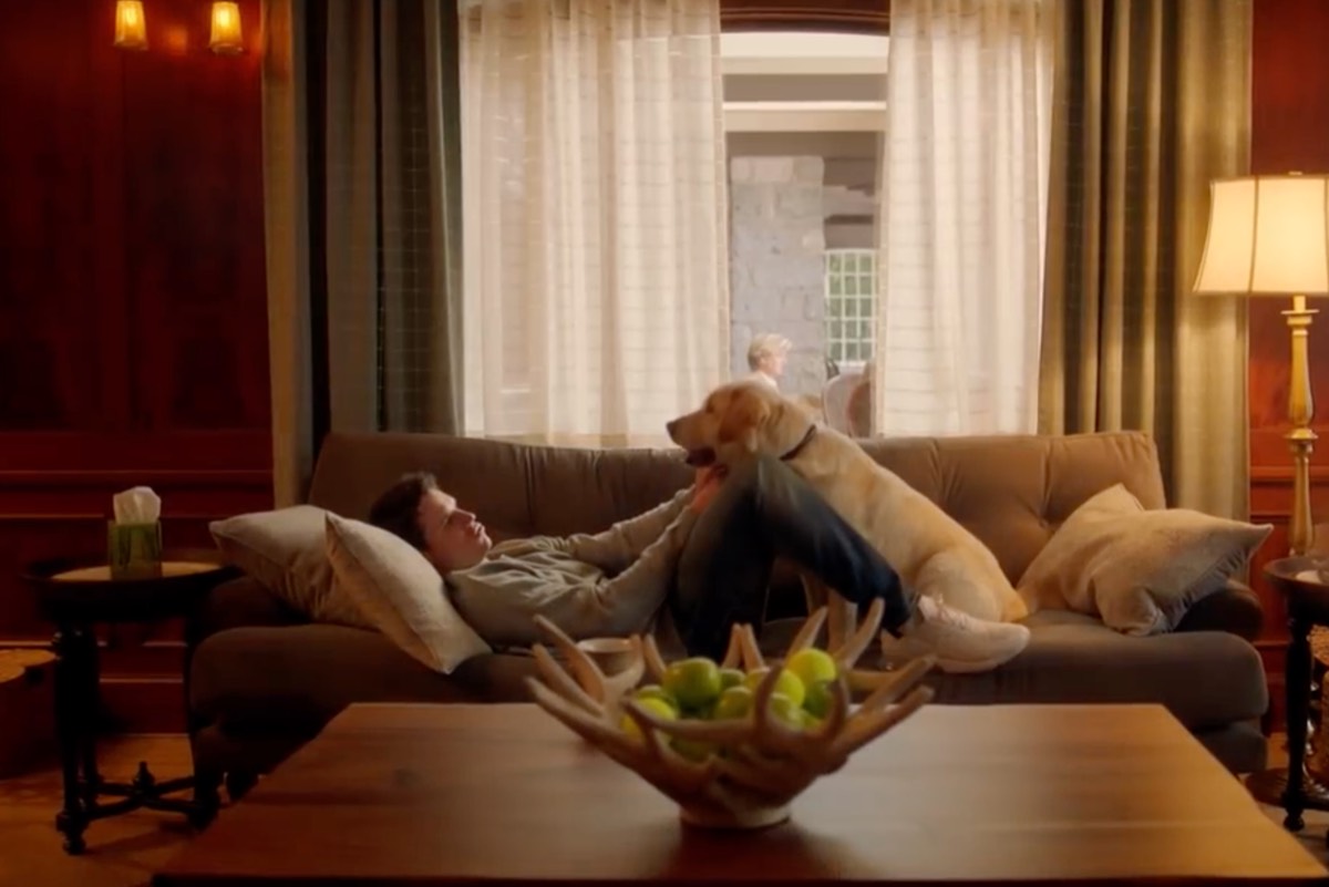 It’s a wonderful afterlife: Smart, funny Upload is a sheer delight ...