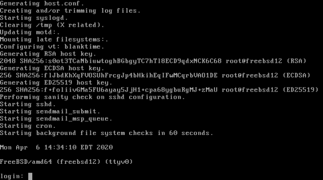 Not-actually Linux distro review: FreeBSD 12.1-RELEASE - Ars Technica
