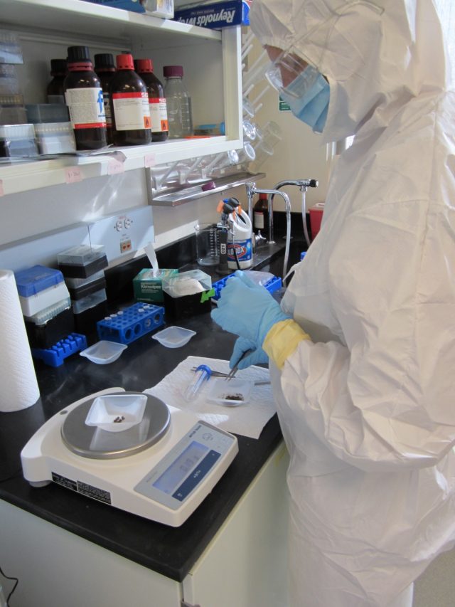 Archaeologists now have a handy new tool for analyzing paleo poop - Ars ...