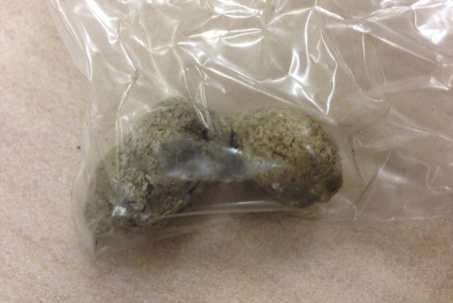 Archaeologists now have a handy new tool for analyzing paleo poop - Ars ...