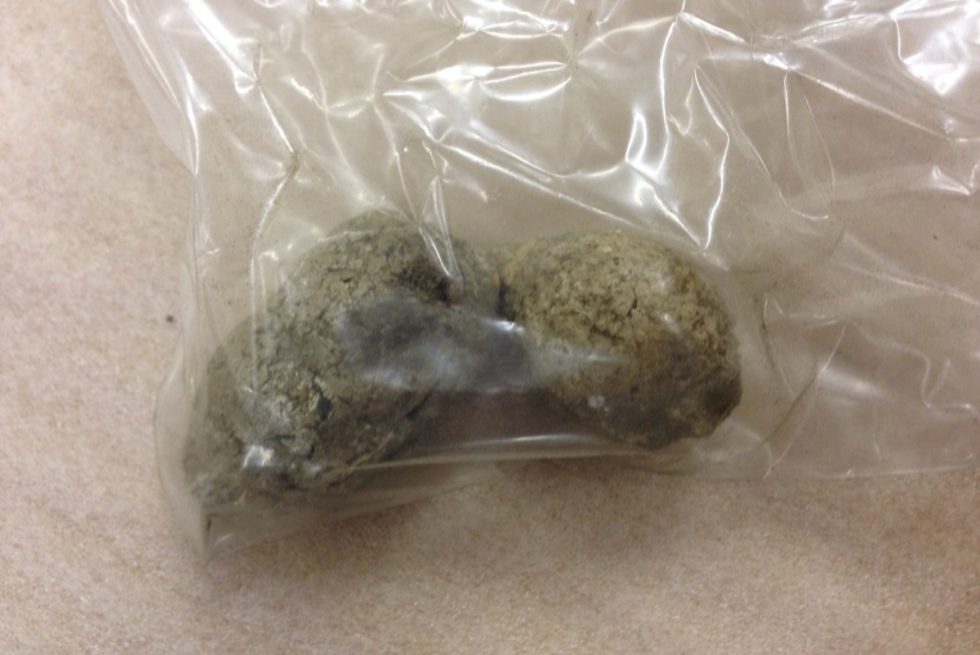 Archaeologists now have a handy new tool for analyzing paleo poop - Ars ...