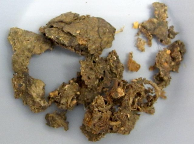Archaeologists now have a handy new tool for analyzing paleo poop - Ars ...