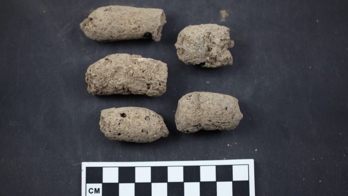 Archaeologists now have a handy new tool for analyzing paleo poop - Ars ...