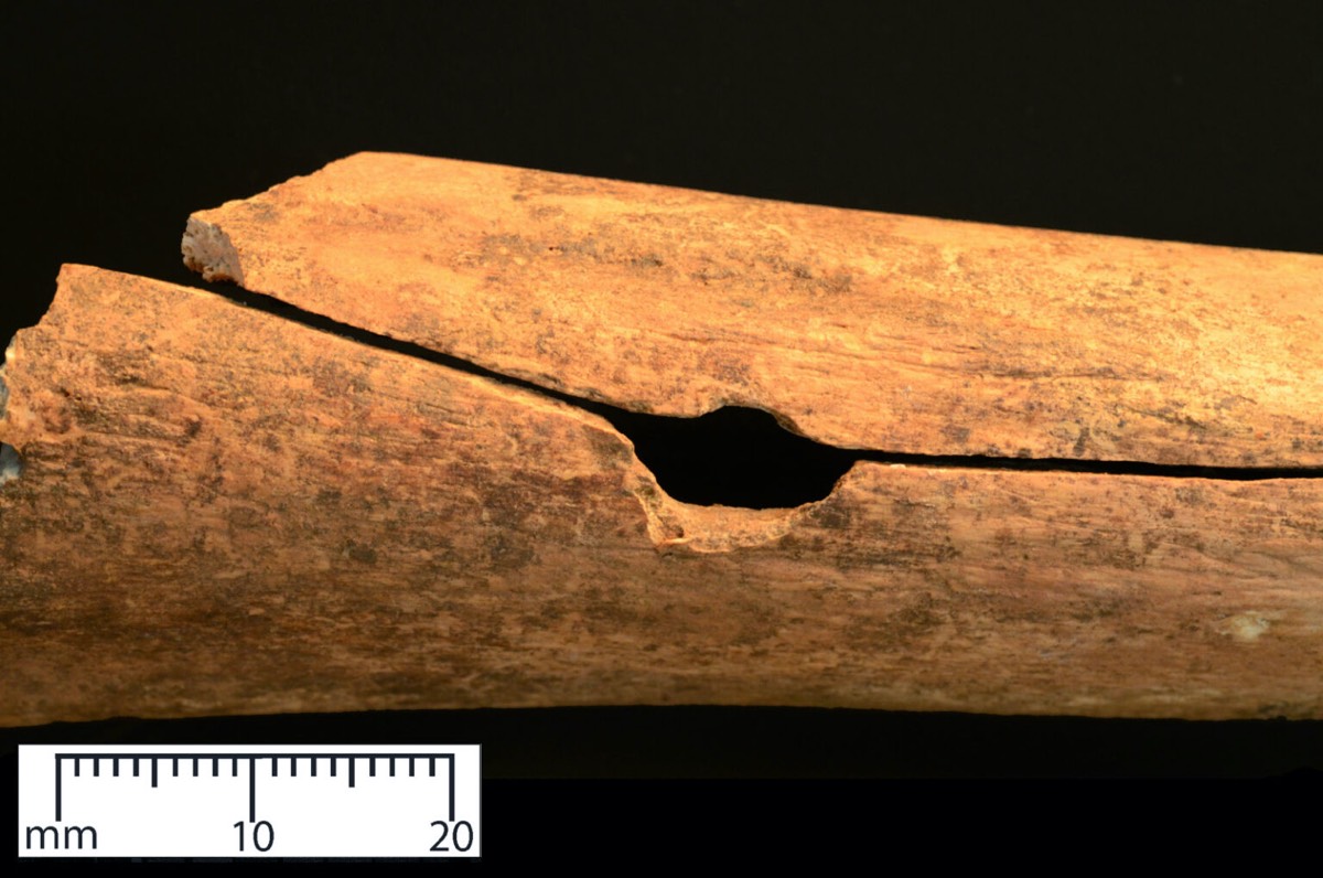 Medieval arrows caused injuries similar to gunshot wounds, study finds ...