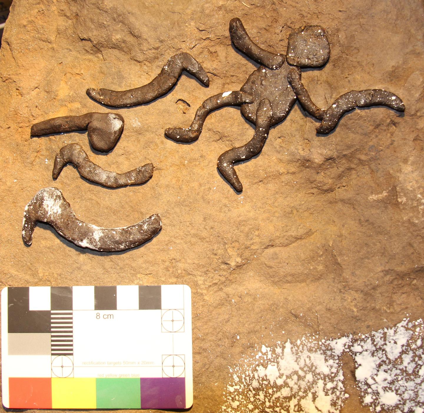 Rare miniature rock art found in Australia - Ars Technica