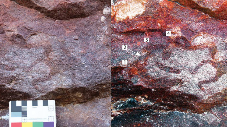 Tag: rock art - Ars Technica